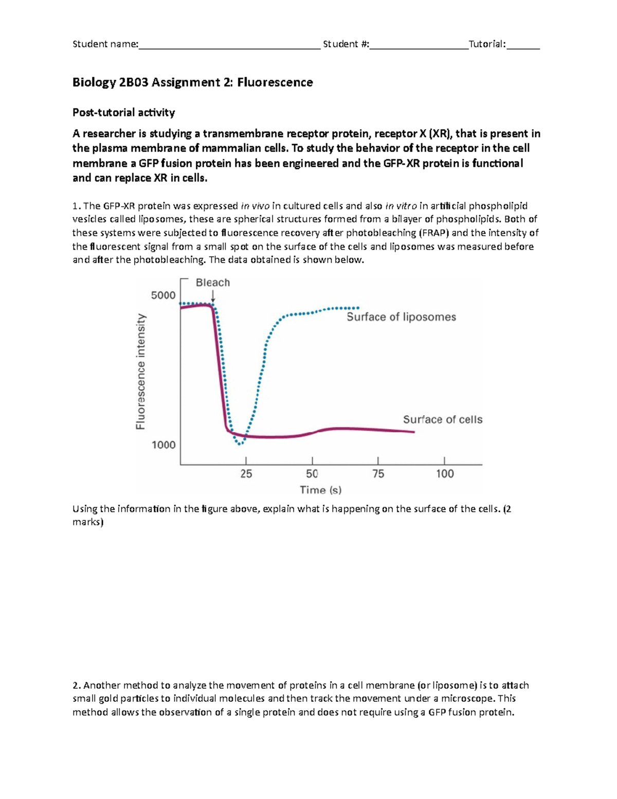 S22 Bio 2B03 Assignment 2 - Fluorescence - Student name
