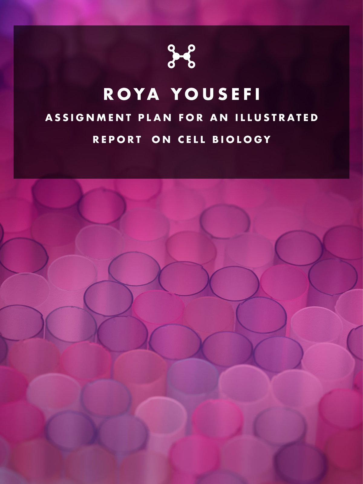 Final ass plan roya yousefi - ROYA YOUSEFI ASSIGNMENT PLAN FOR AN ...