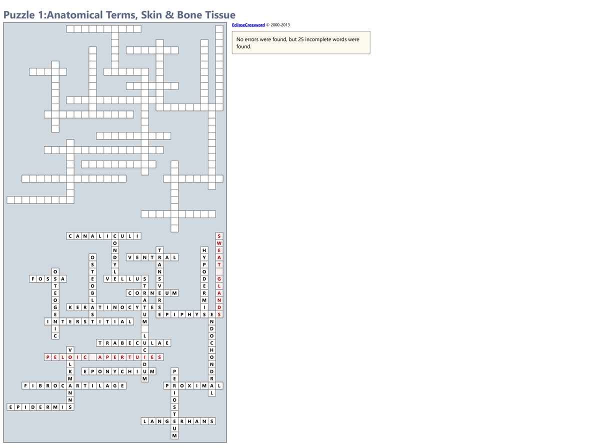 Puzzle 1 Anatomical Terms, Skin & Bone Tissue 41 - Puzzle 1:Anatomical ...