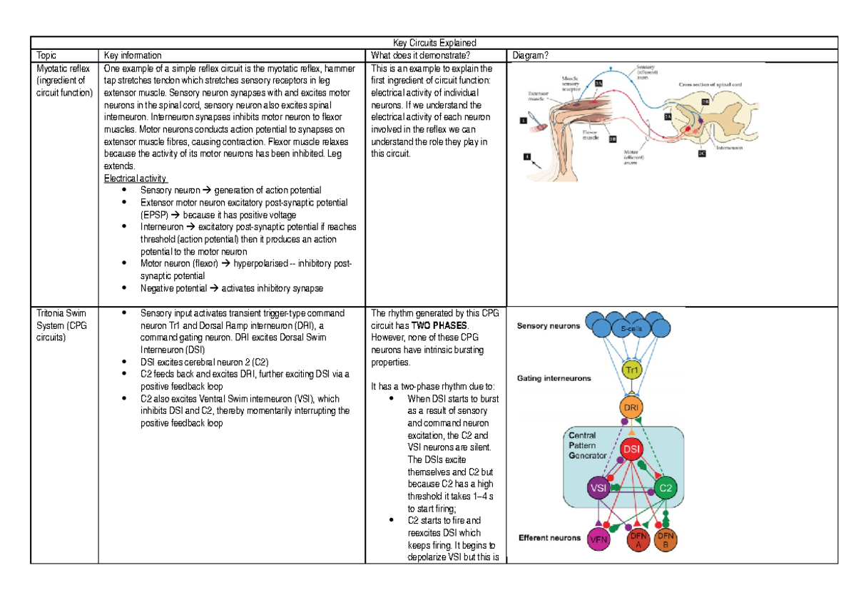 Key Circuits Explained - Key Circuits Explained Topic Key information ...