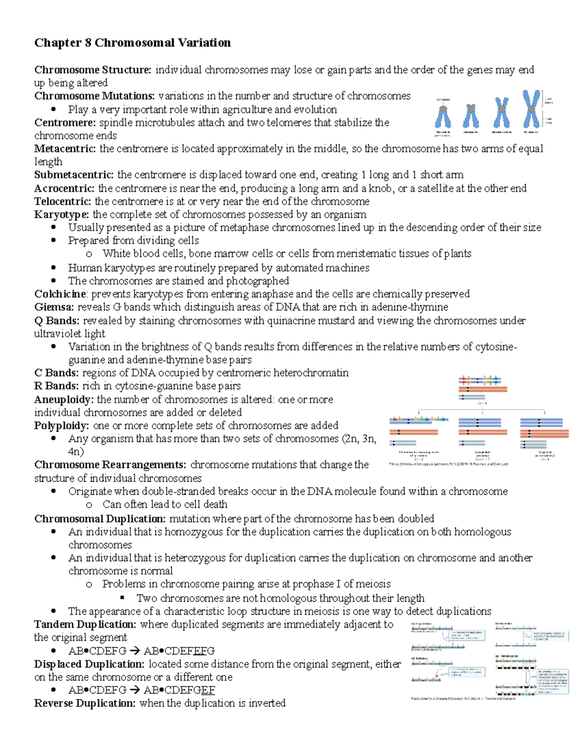 Chapter 8 Chromosomal Variation - Chapter 8 Chromosomal Variation ...