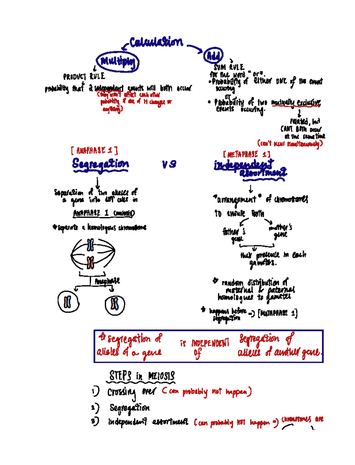 Genetics - calculation Add multipp PRODUCT RULE SUM RULE Probabilityof ...