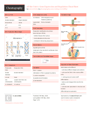 Codon Chart and Wheel Handout - Codon Chart and Wheel These charts ...