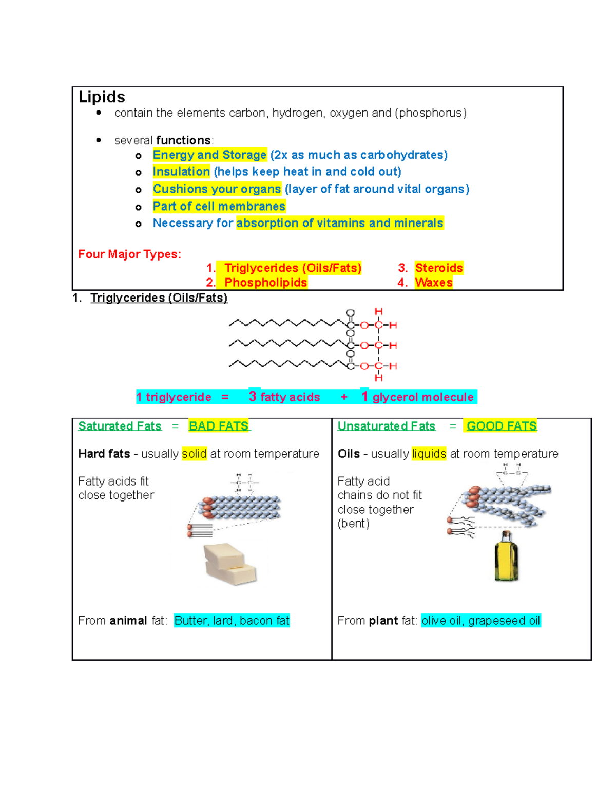 Lipids Proteins Nucleic Acids - Lipids contain the elements carbon ...