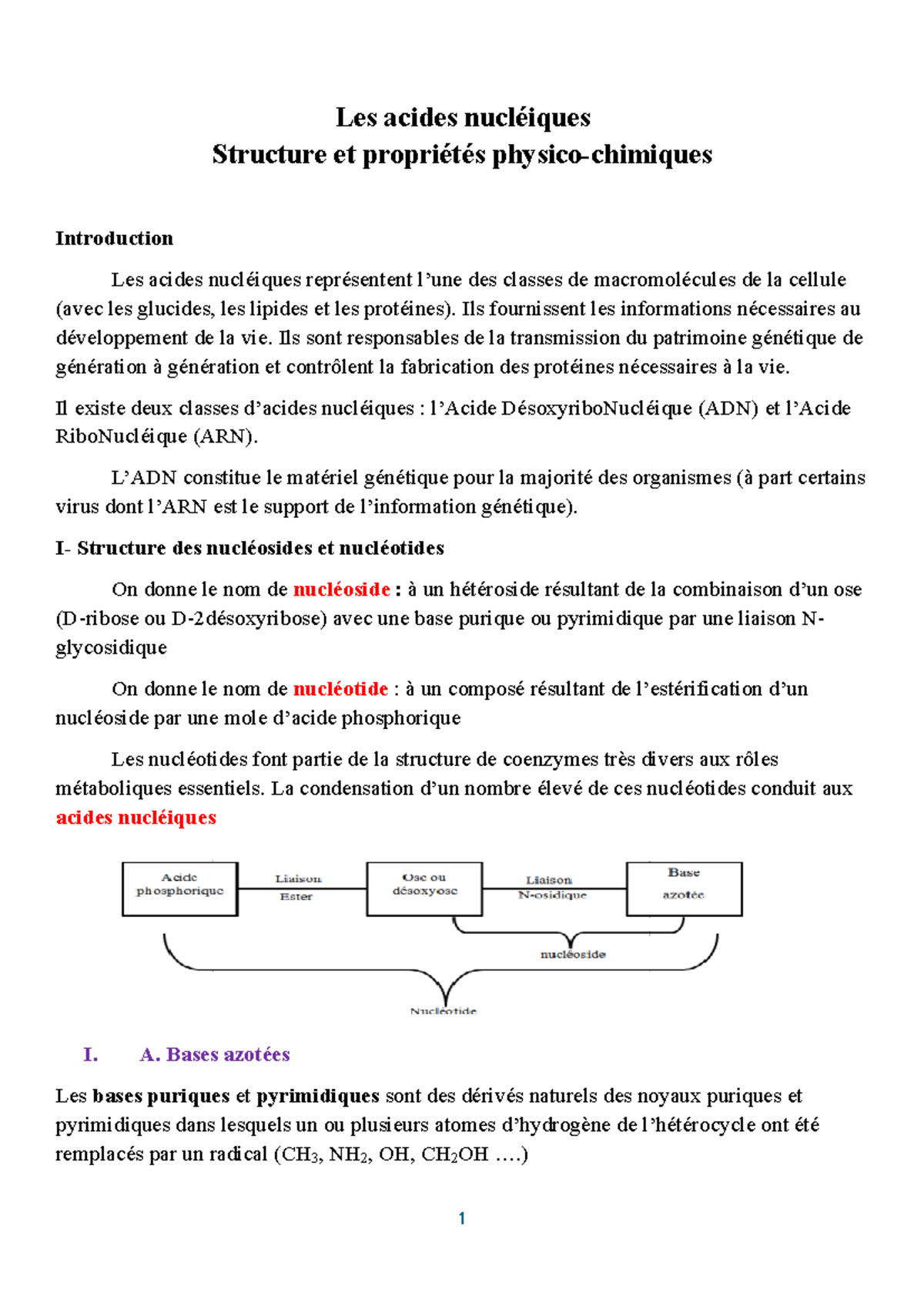 Les acides nucléiques - Les acides nucléiques Structure et propriétés ...