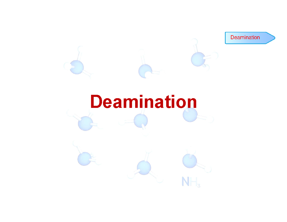 BOTANY AND PLANT BIOTECHNOLOGY - Deamination Fate of Amino acid ...