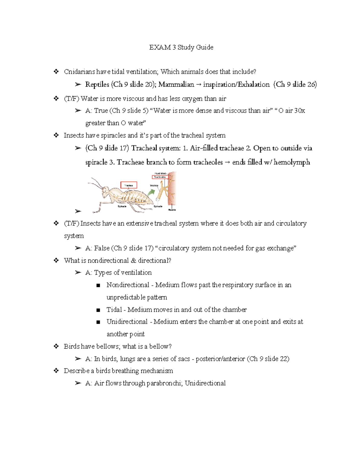 CAP EXAM 3 Study Guide ch - EXAM 3 Study Guide Cnidarians have tidal ...
