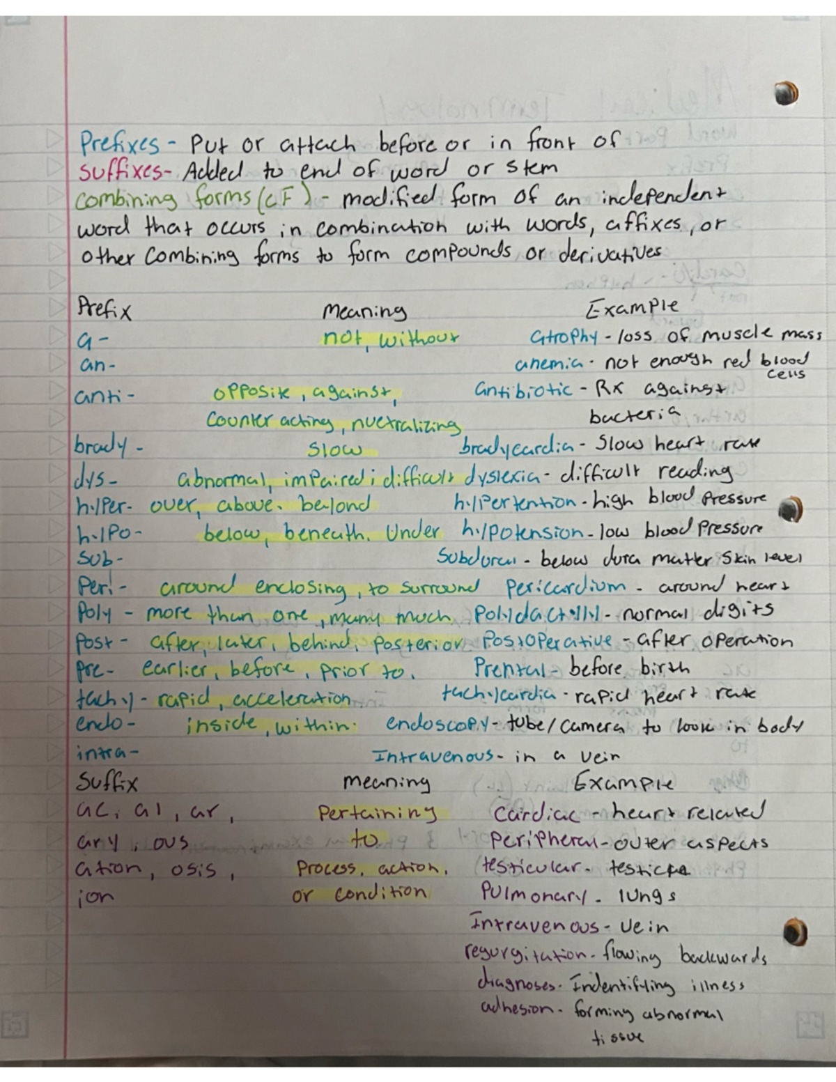 Medical terminology notes - HIM 1101 - Sinclair - Studocu