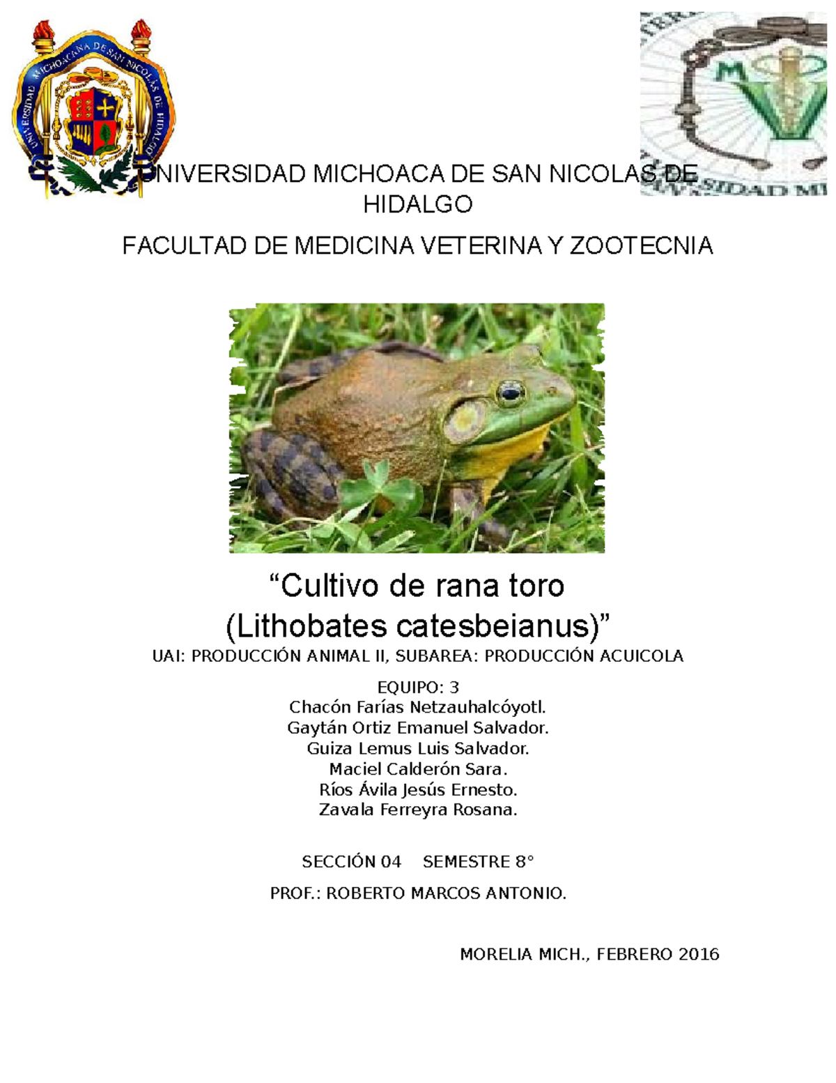 341888821-Rana-Toro - qwerty - UNIVERSIDAD MICHOACA DE SAN NICOLAS DE ...