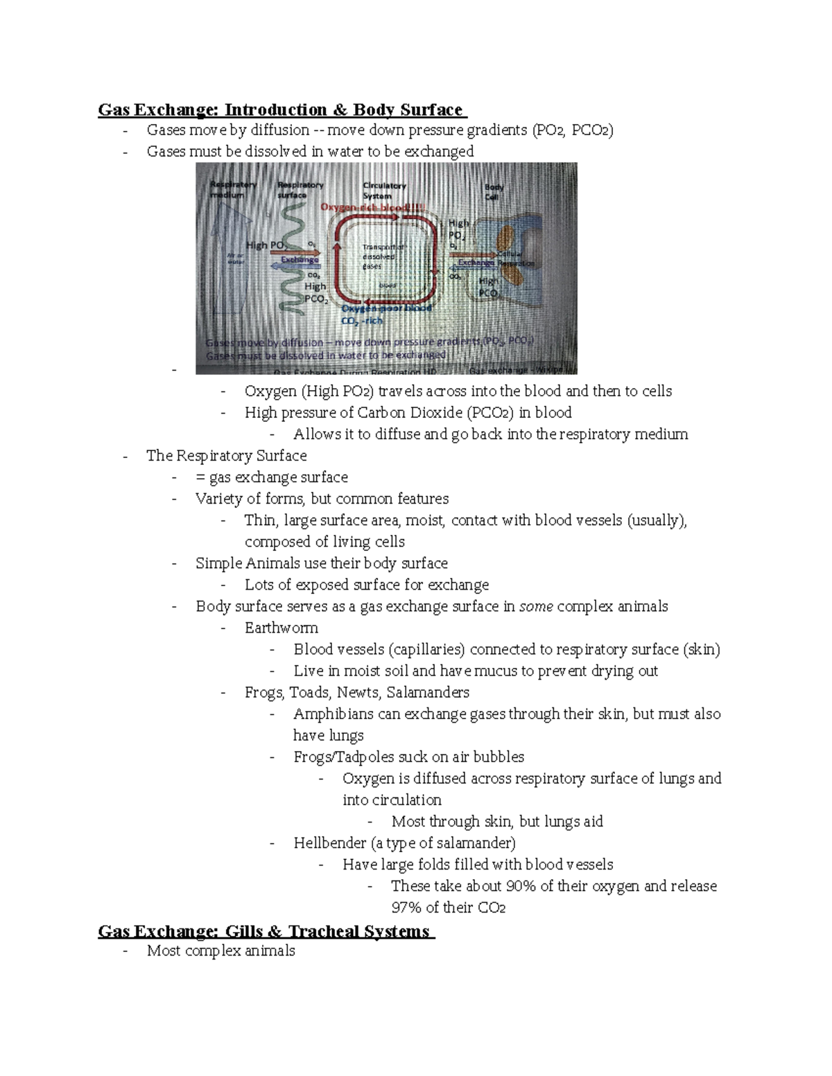 Module 12 Notes Gas Exchange & Circulation - Gas Exchange: Introduction ...