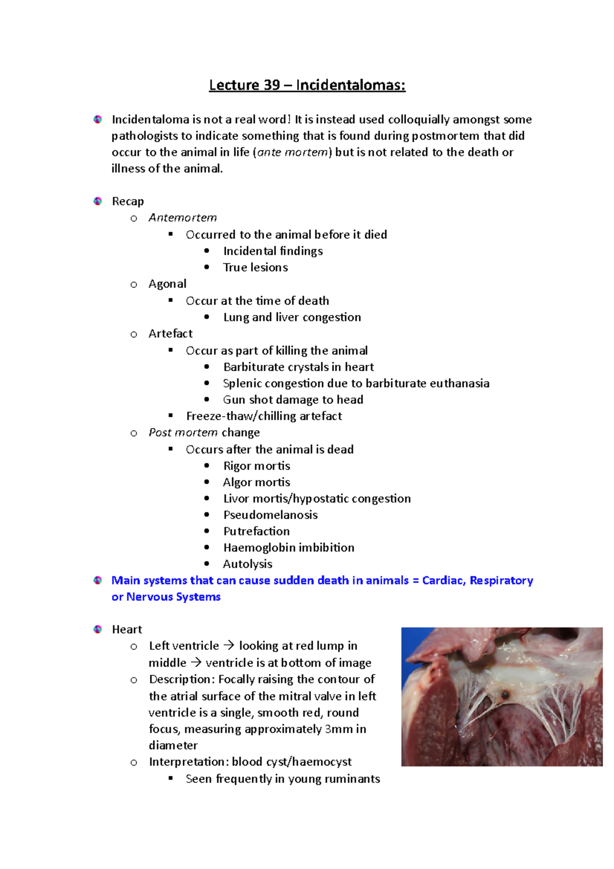 Lecture 39 – Incidentalomas - Lecture 39 – Incidentalomas: Incidentaloma is not a real word! It ...