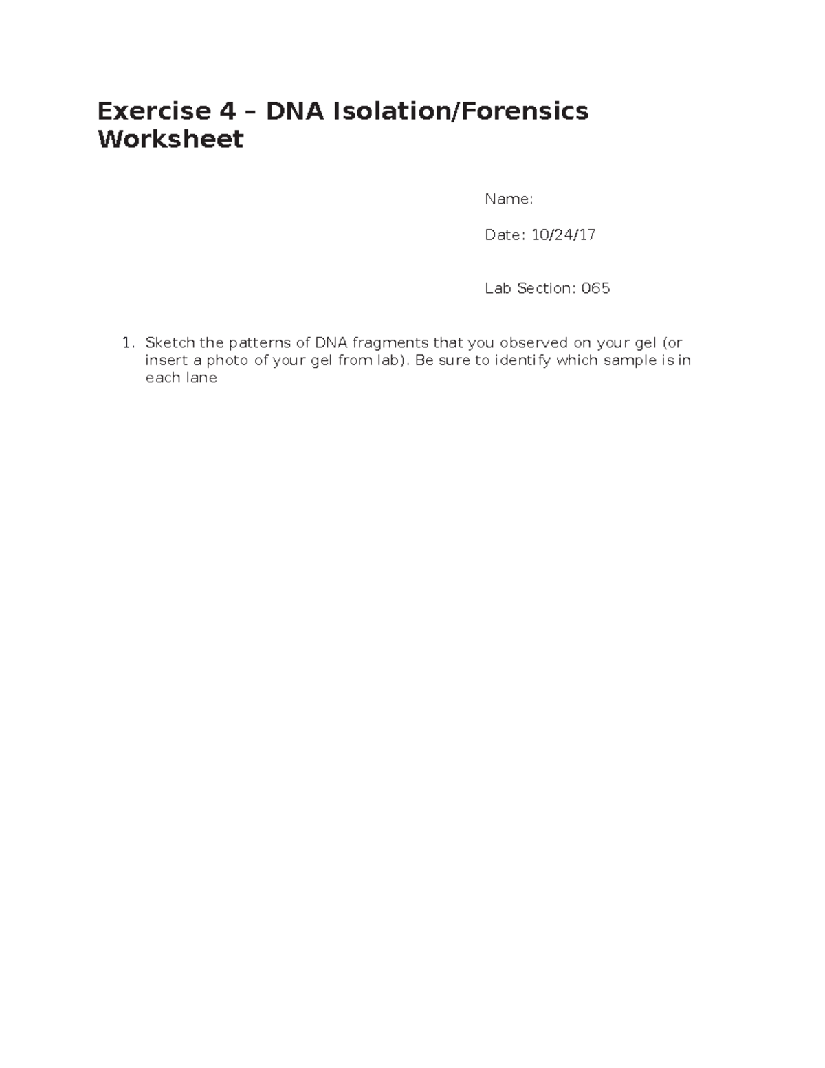 DNA Worksheet Lab - Exercise 4 DNA Worksheet Name: Date: Lab Section ...