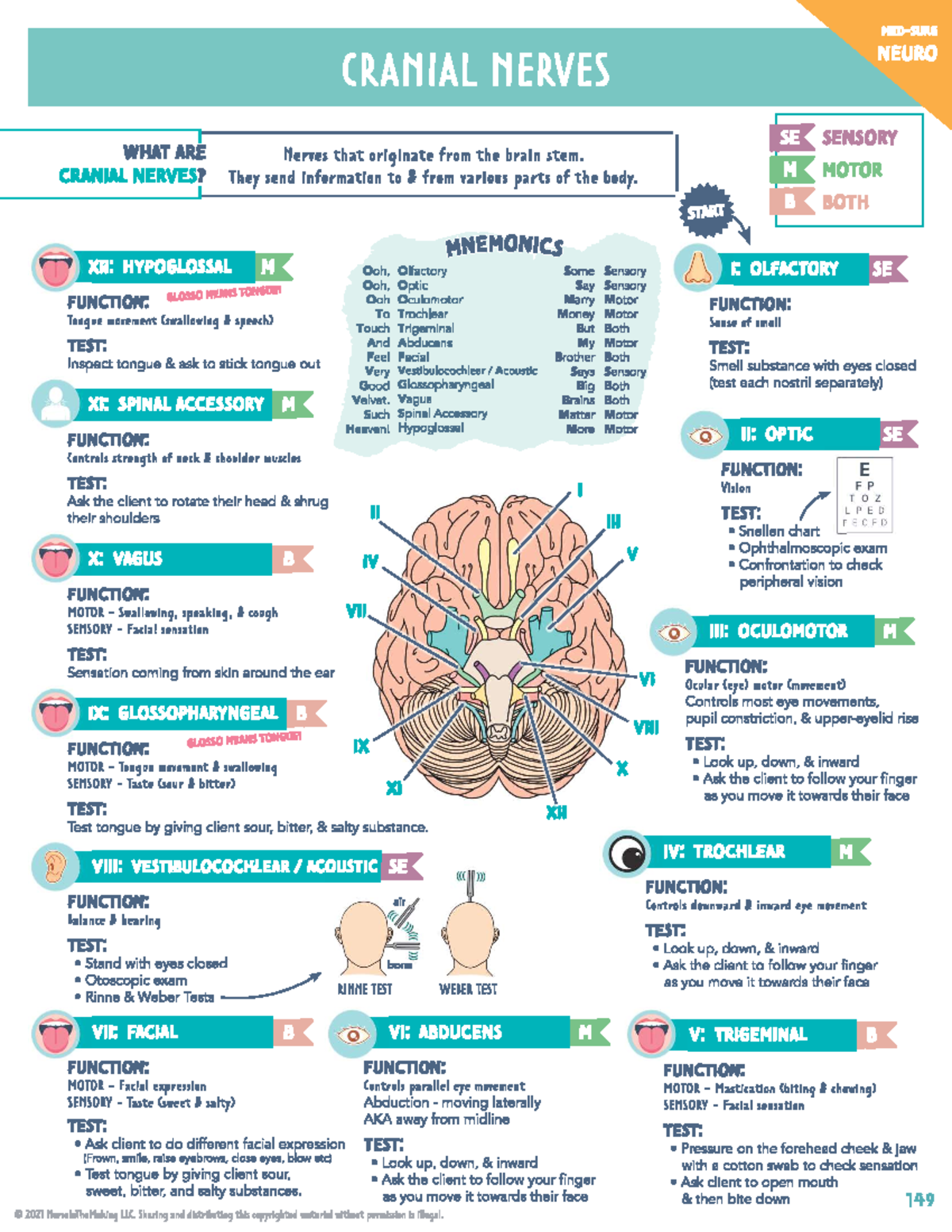 Learn Cranial Nerves - notes - NUR166 - Studocu