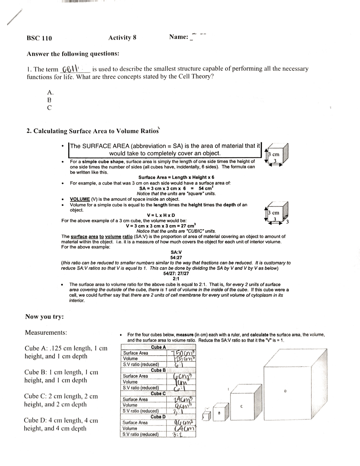 BCS 110 Activity 8 - BSC 110 - Studocu