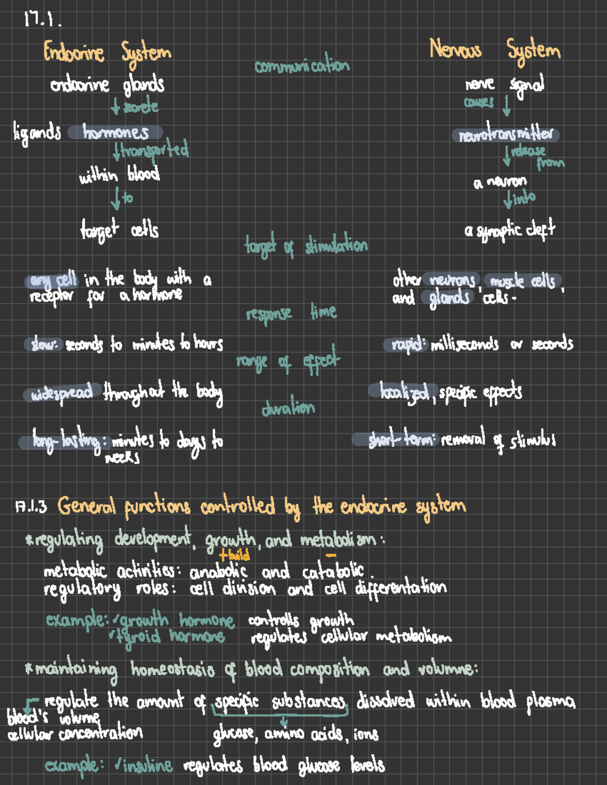 Chapter 17 - Endocrine System - 17. Endocrine System communication ...