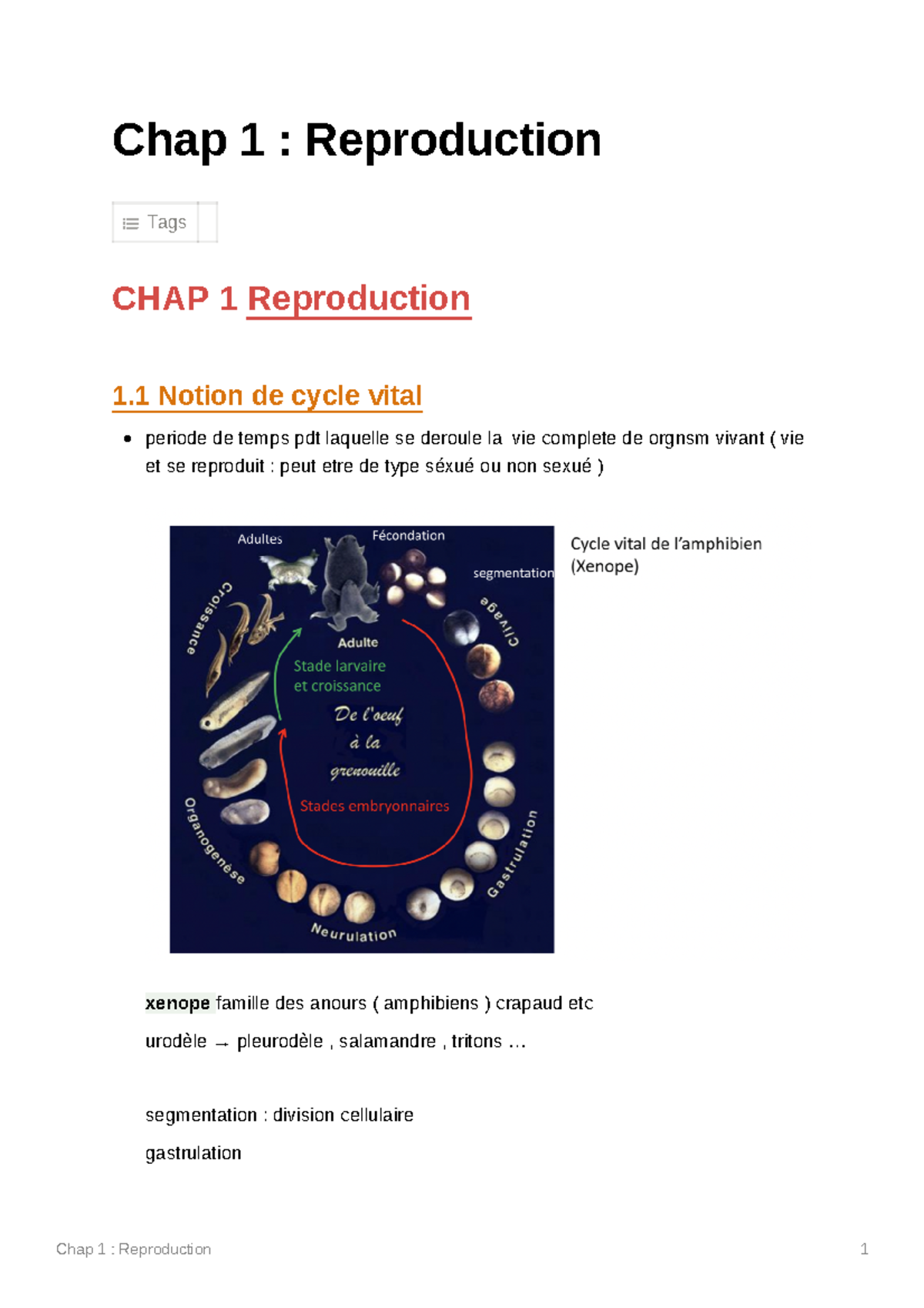 Chap 1 Reproduction - Chap 1 : Reproduction Tags CHAP 1 Reproduction 1 ...