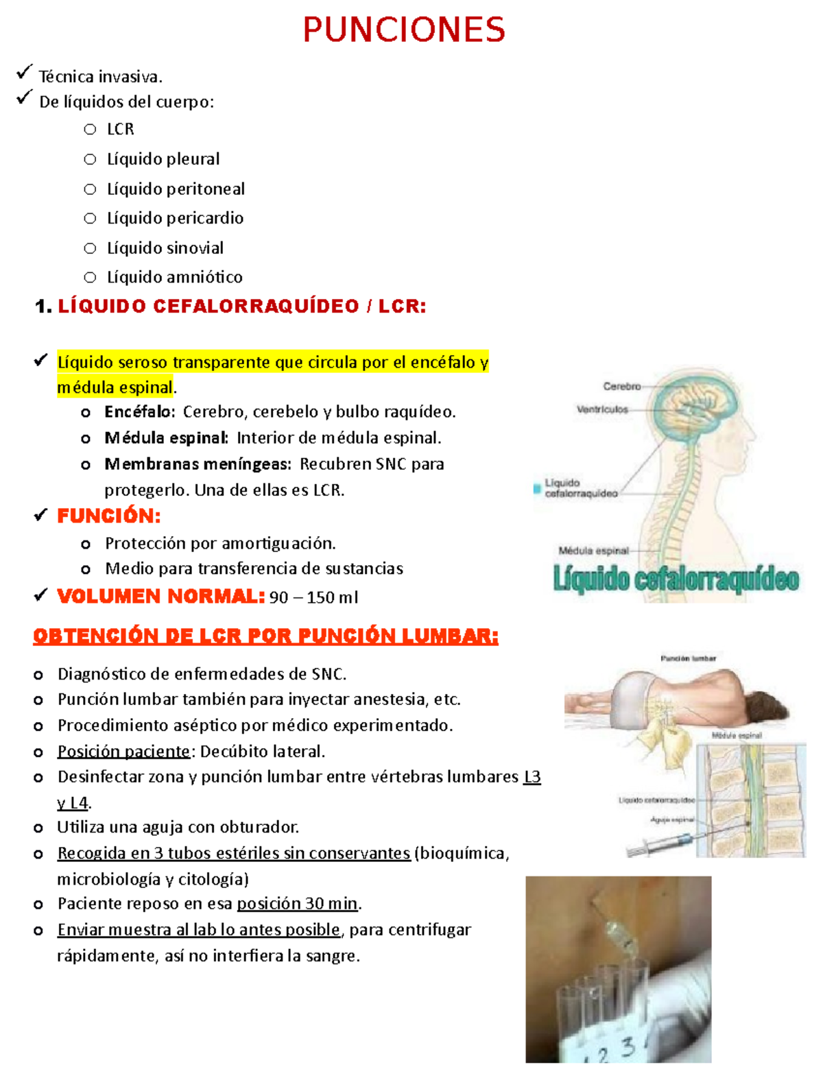 Punciones Y Endoscopia - PUNCIONES Técnica invasiva. De líquidos del ...