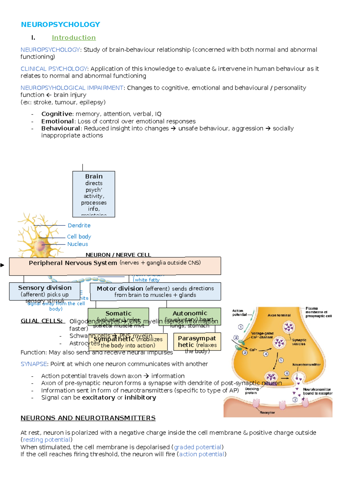 3. Neuropsychology - Lecture notes 3 - NEUROPSYCHOLOGY I. Introduction ...