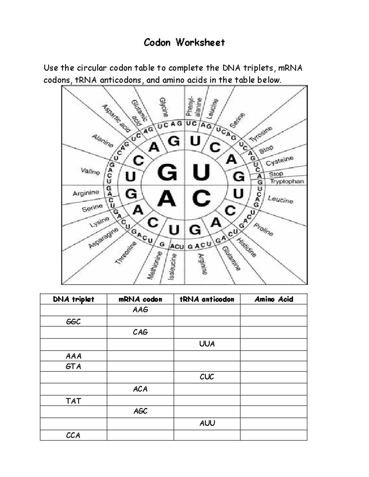 codon-worksheet-codon-worksheet-use-the-circular-codon-table-to