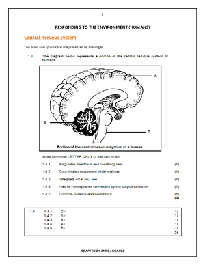 Grade 9 - EMS mid- Exam Notes-1 - Grade 9 EMS Term 2 Exam Producer : is ...