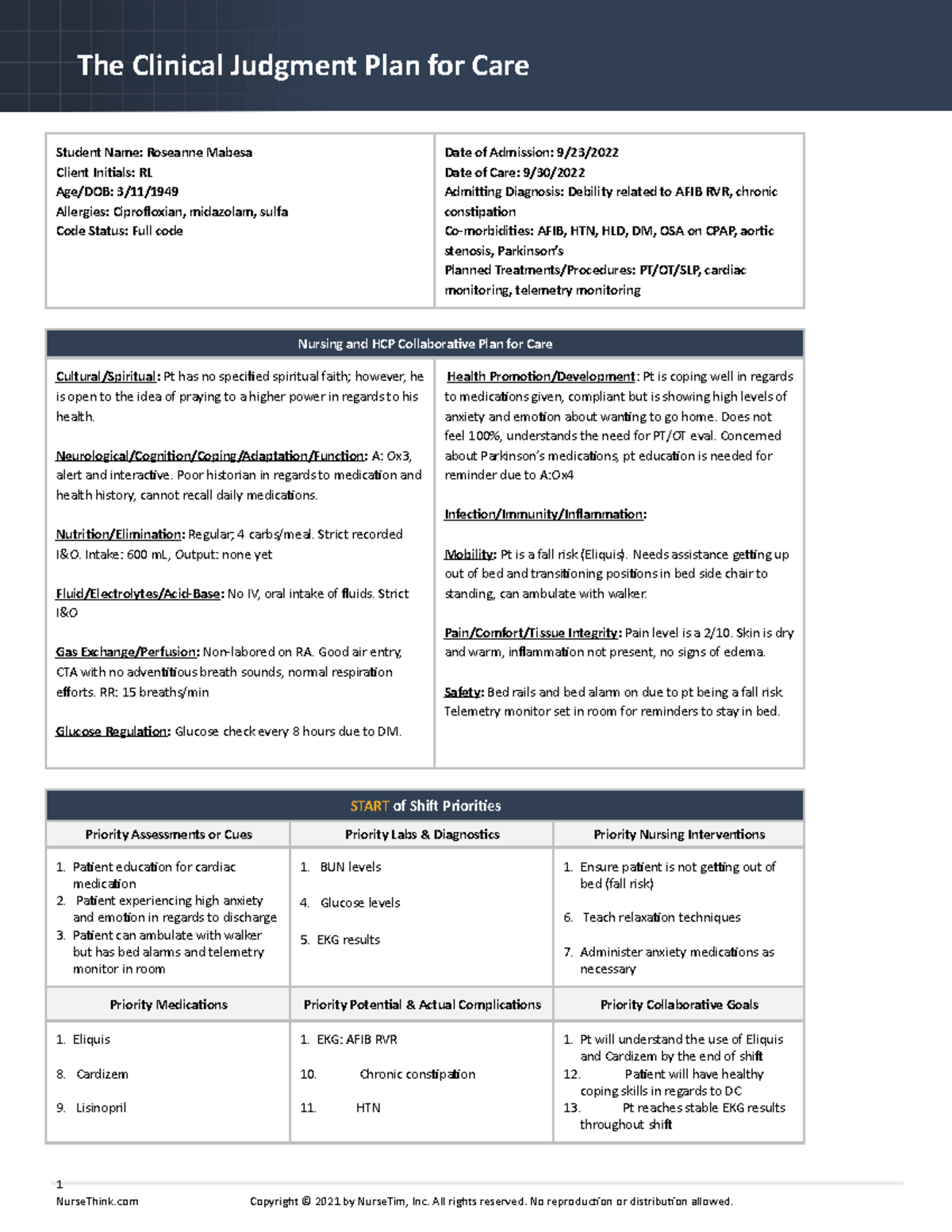CARE PLAN RL - Care plan example for rehabilitation clinical ...