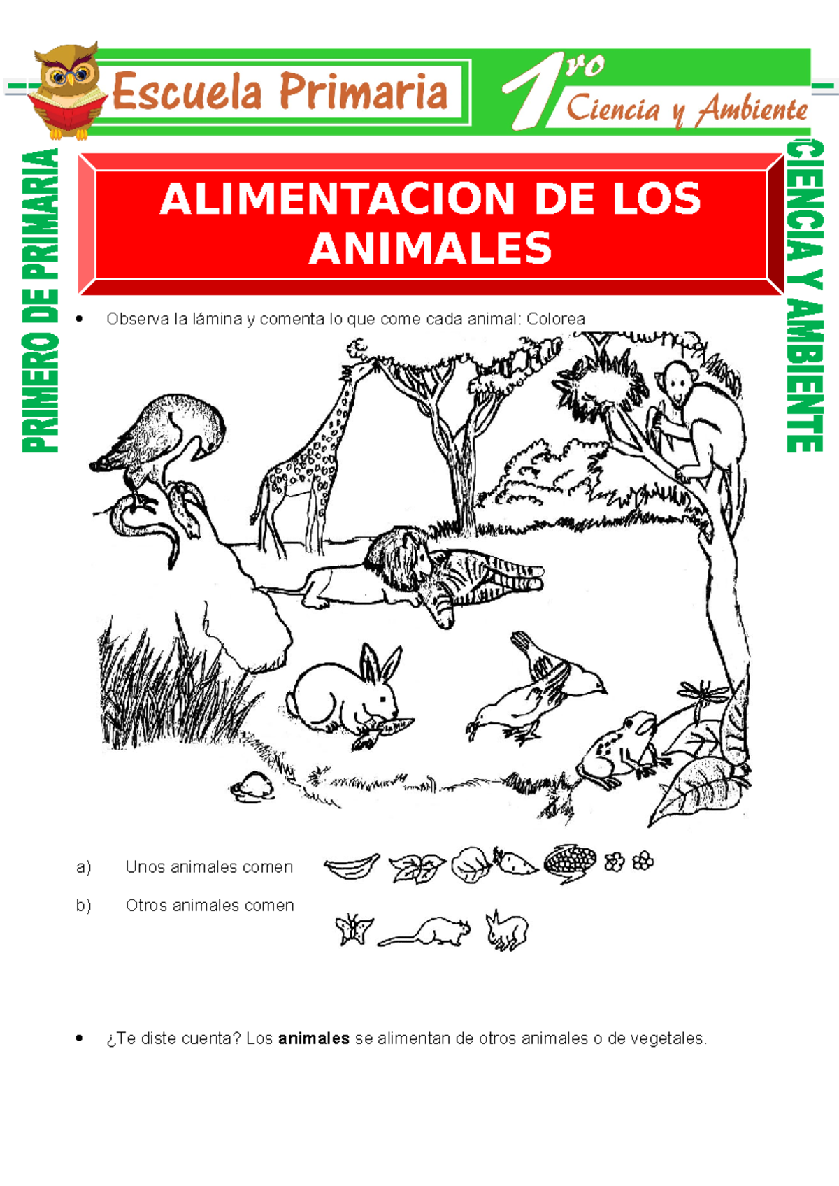 Alimentacion de los animales para Primero de Primaria - Primero de ...