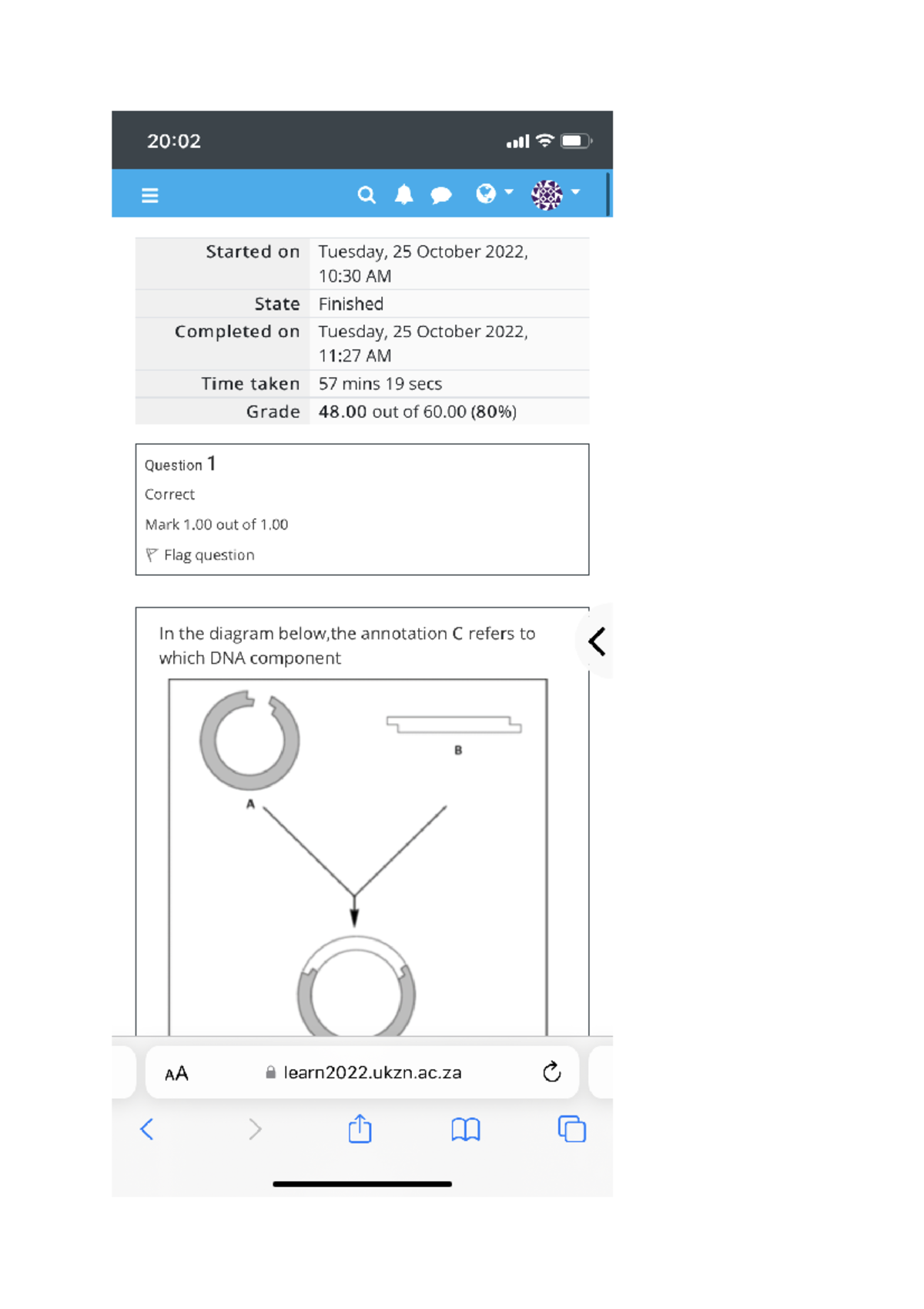 RDNA Major Summative 2 - RDNA202 - Studocu