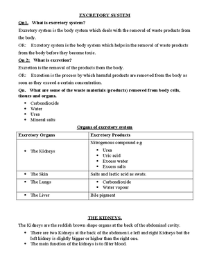 P3 Science Lesson Notes TERM 2 2013 - P LESSON SCIENCE NOTES TERM 2 ...