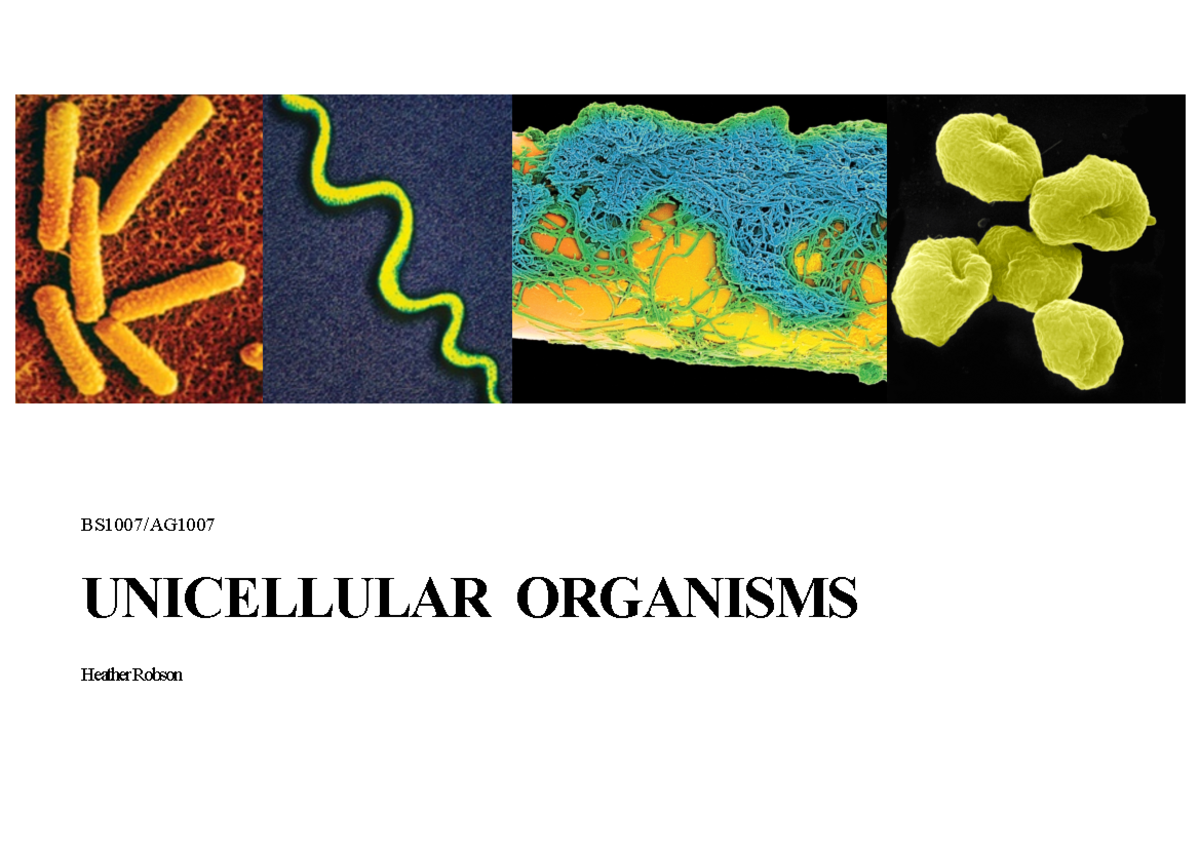 BS1007 L2 Unicell Life vs9 Slides 1pp - BS1007/AG UNICELLULAR ORGANISMS ...