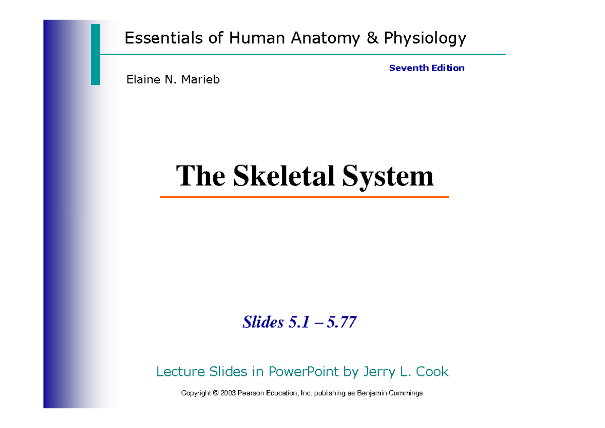Skeletal System - Bones - Essentials of Human Anatomy & Physiology ...