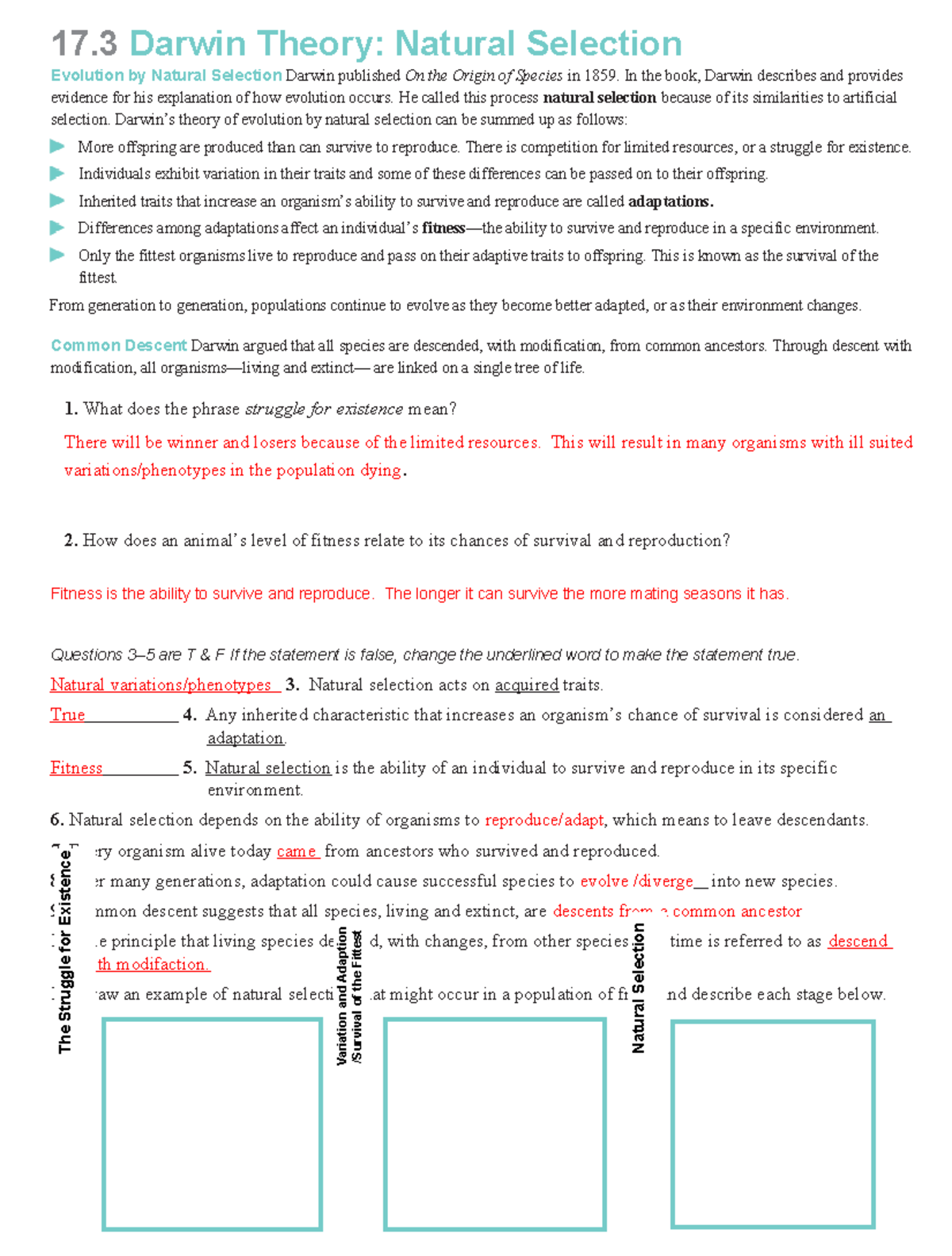 17.3 Darwin's Theory by Natural Selection Study Guide-KEY - 17 Darwin ...