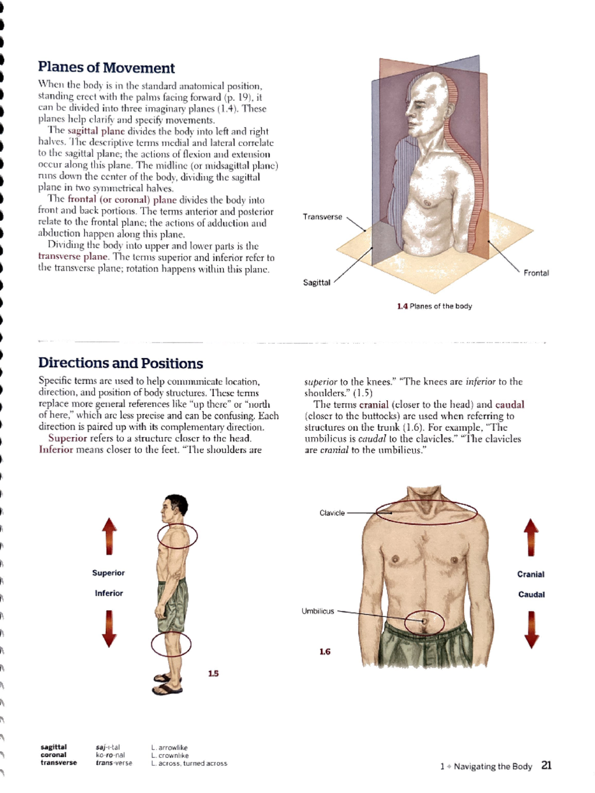 2023-09-02 09-10 - Navigating the body - Massage 101 - Studocu