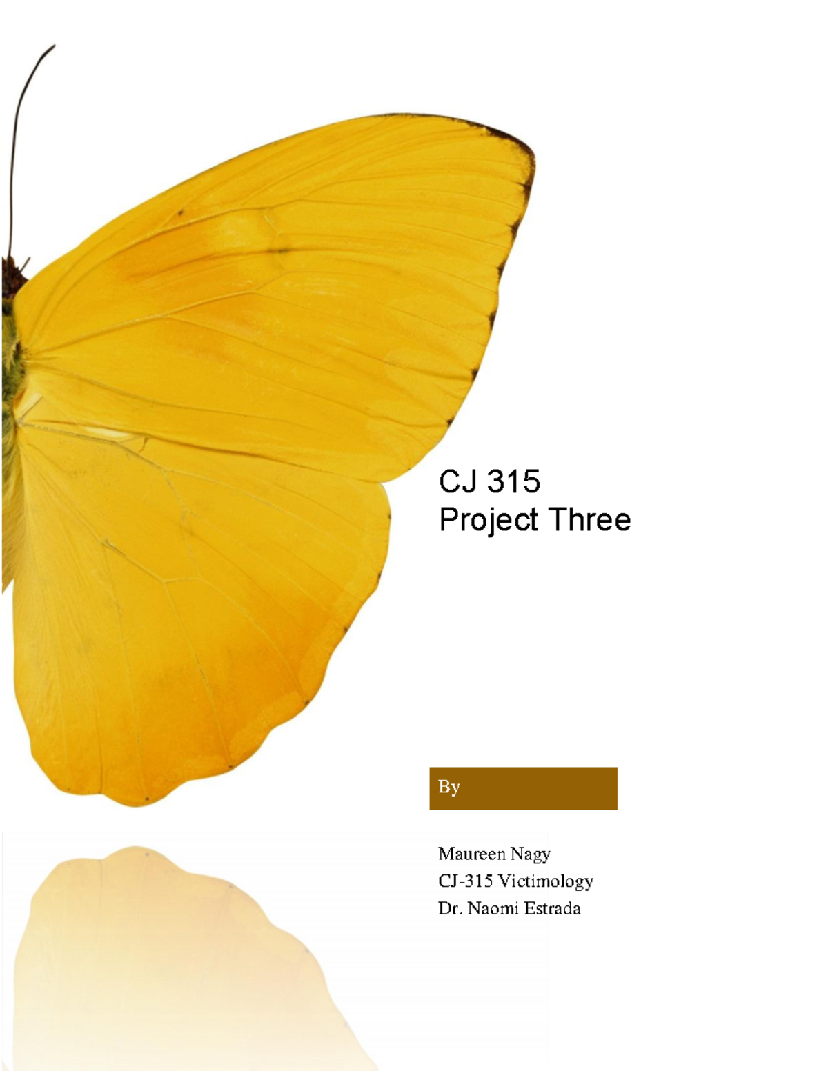 CJ 315 Project Three - CJ 315 Project Three By Maureen Nagy CJ-315 Victimology Dr. Naomi Estrada ...