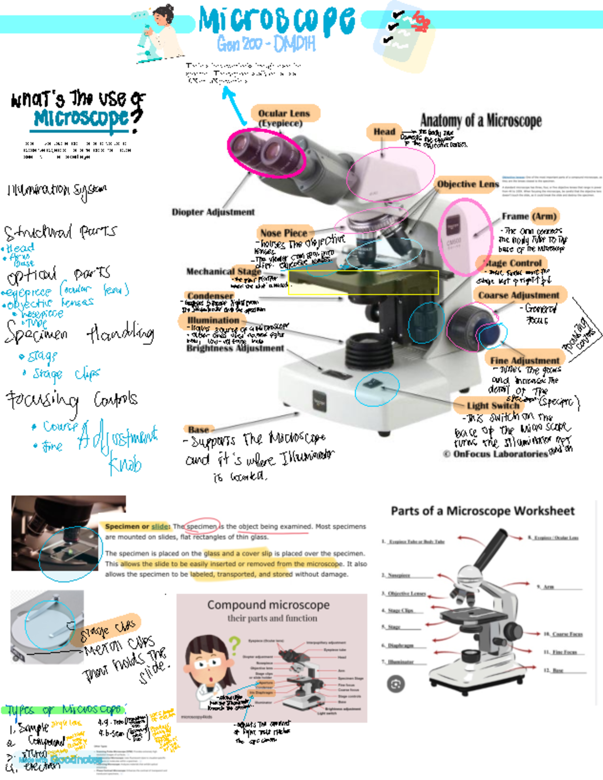 Untitled (Draft) - Microscope - Is an invaluable tool that allows us to ...