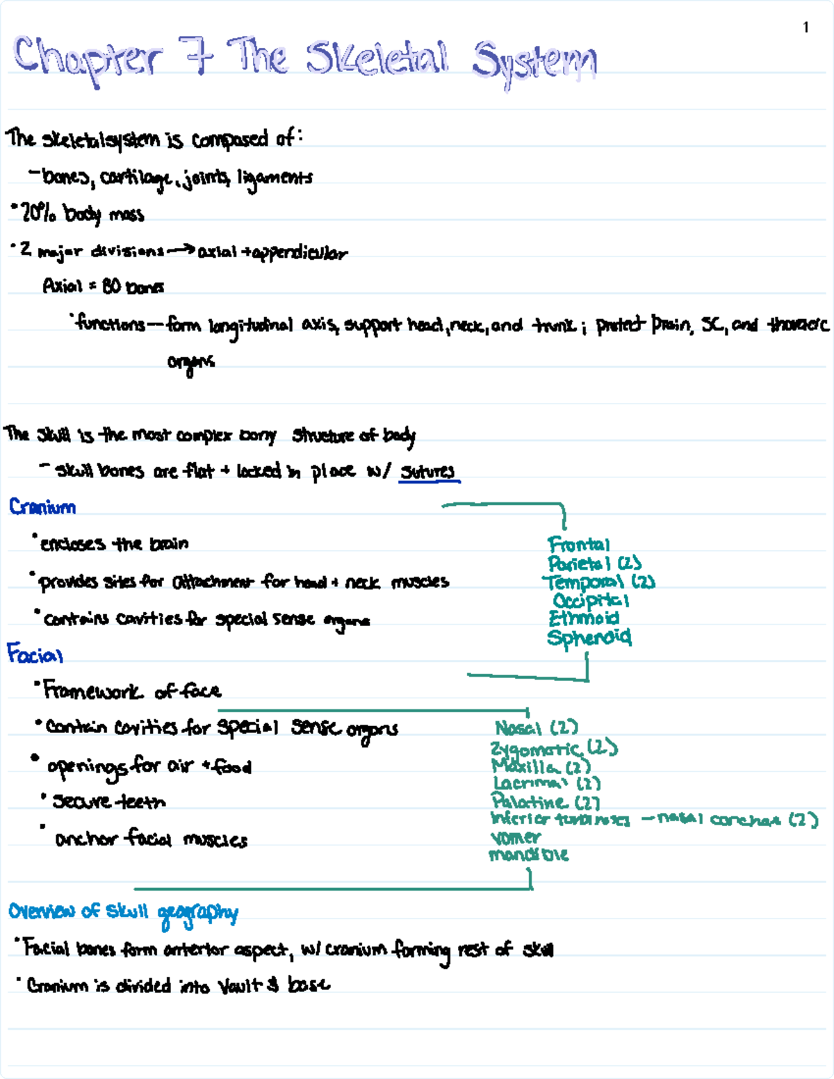 Chapter 7 Skeletal System - BIOL 2311 - Studocu