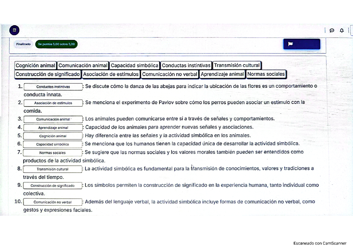 Filosofia - Actividad 6 Arrastrar y Soltar filosofía - Finalizado Se ...