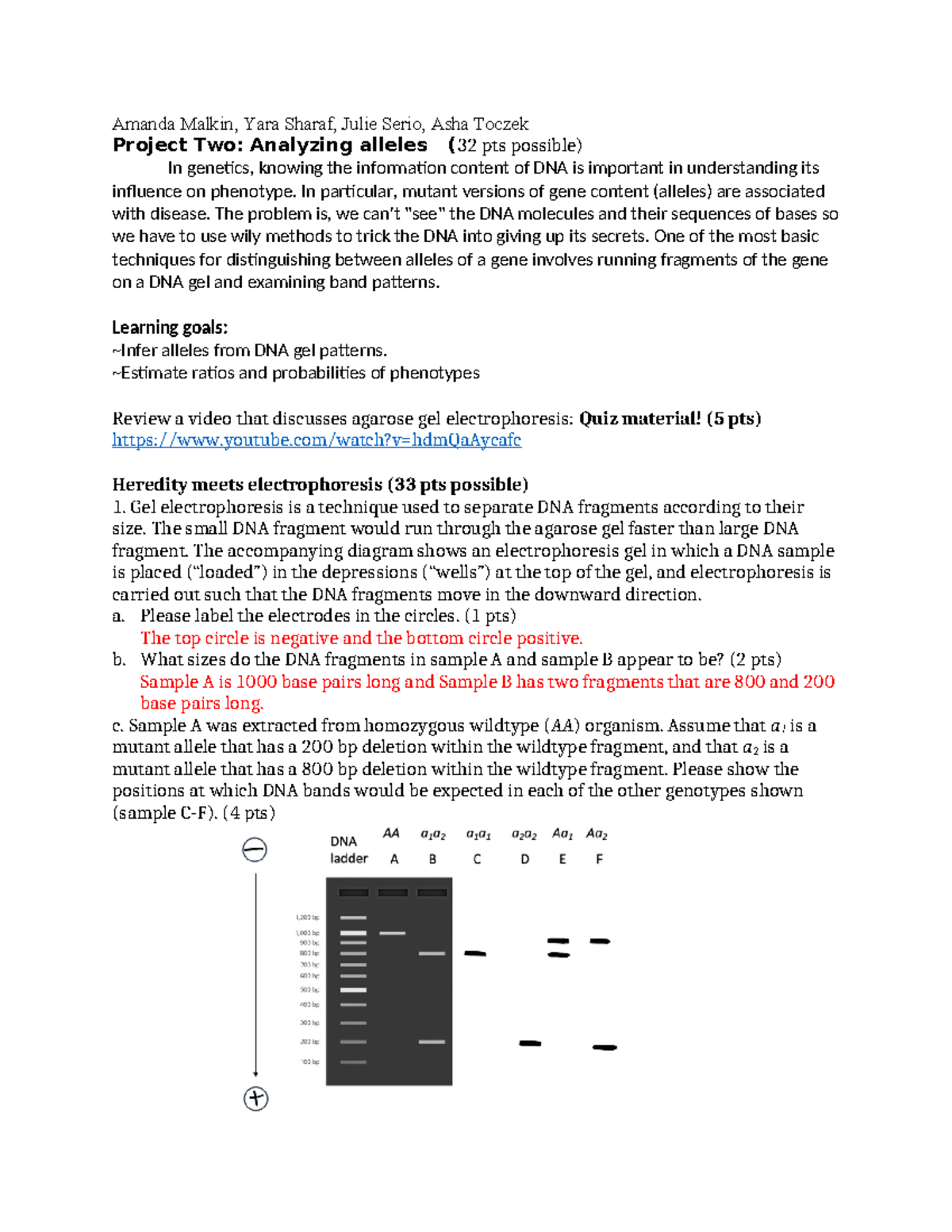 Genetics Project 2 - lab 2 - Amanda Malkin, Yara Sharaf, Julie Serio ...