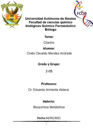 Venadillo - VENADILLO Descripción de la planta: Hierba vigorosa, de ...