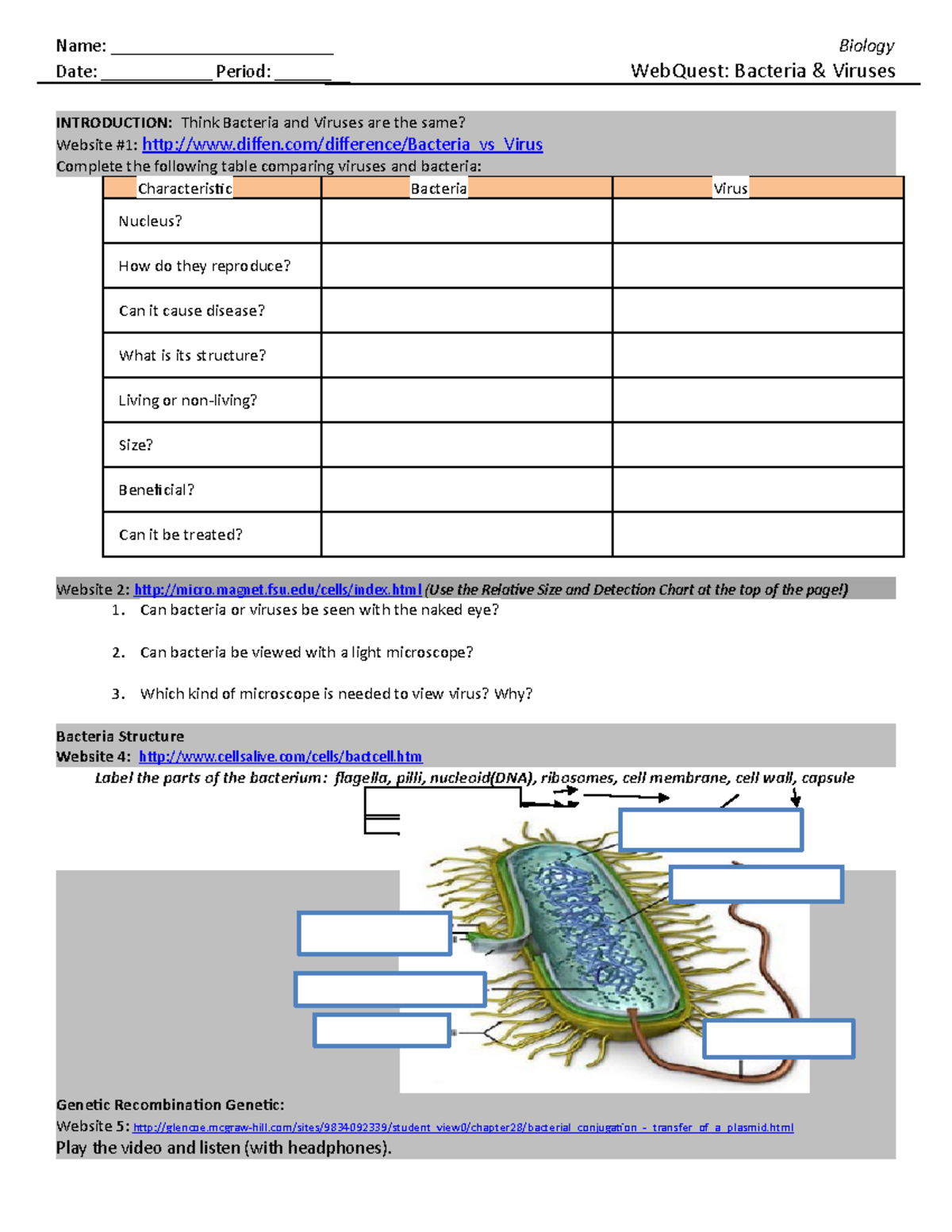 Web Quest Bacteria and Viruses - Name: ________________________ Biology ...