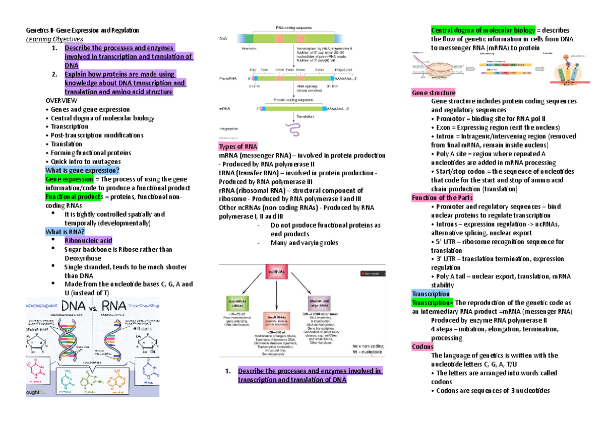 Genetics II - Gene expression - Genetics II- Gene Expression and ...