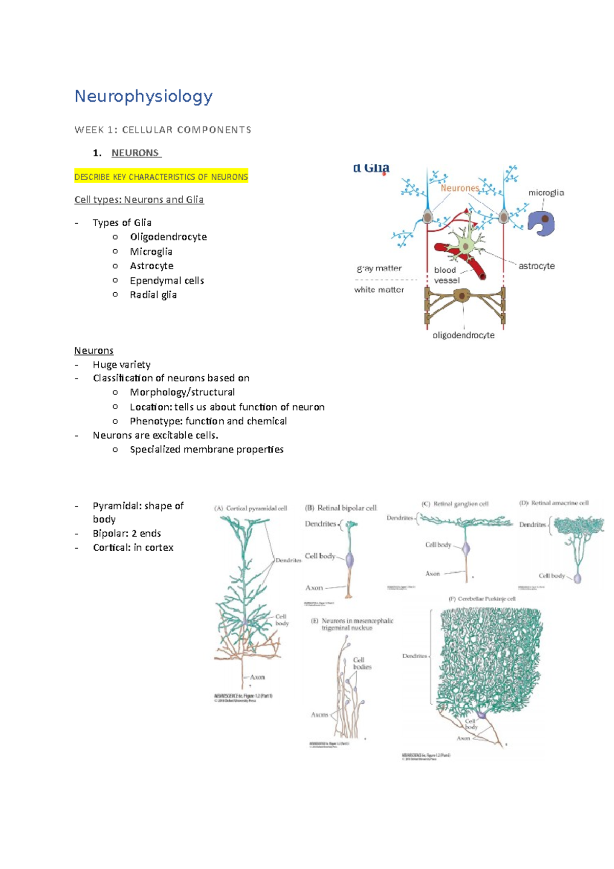 Neurophysiology overall notes - Neurophysiology WEEK 1: CELLULAR ...