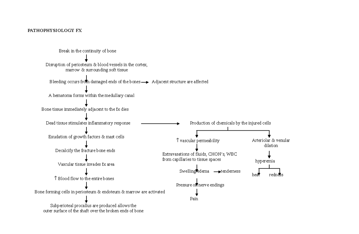 Fracture pathophysiology - PATHOPHYSIOLOGY FX Break in the continuity of bone Disruption of ...