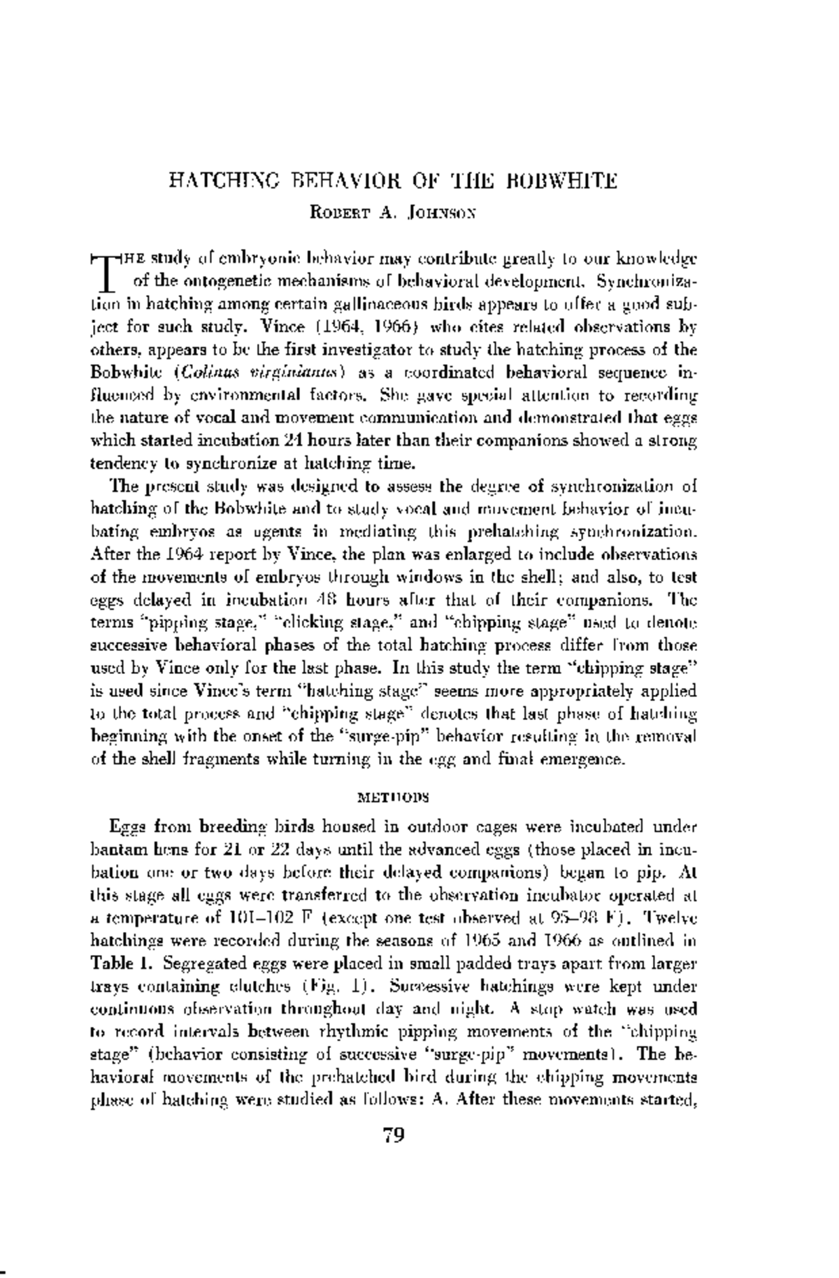 P0079-p0086 - ... - HATCHING BEHAVIOR OF THE BOBWHITE ROBERT A. SOHNSON T HE study of embryonic ...