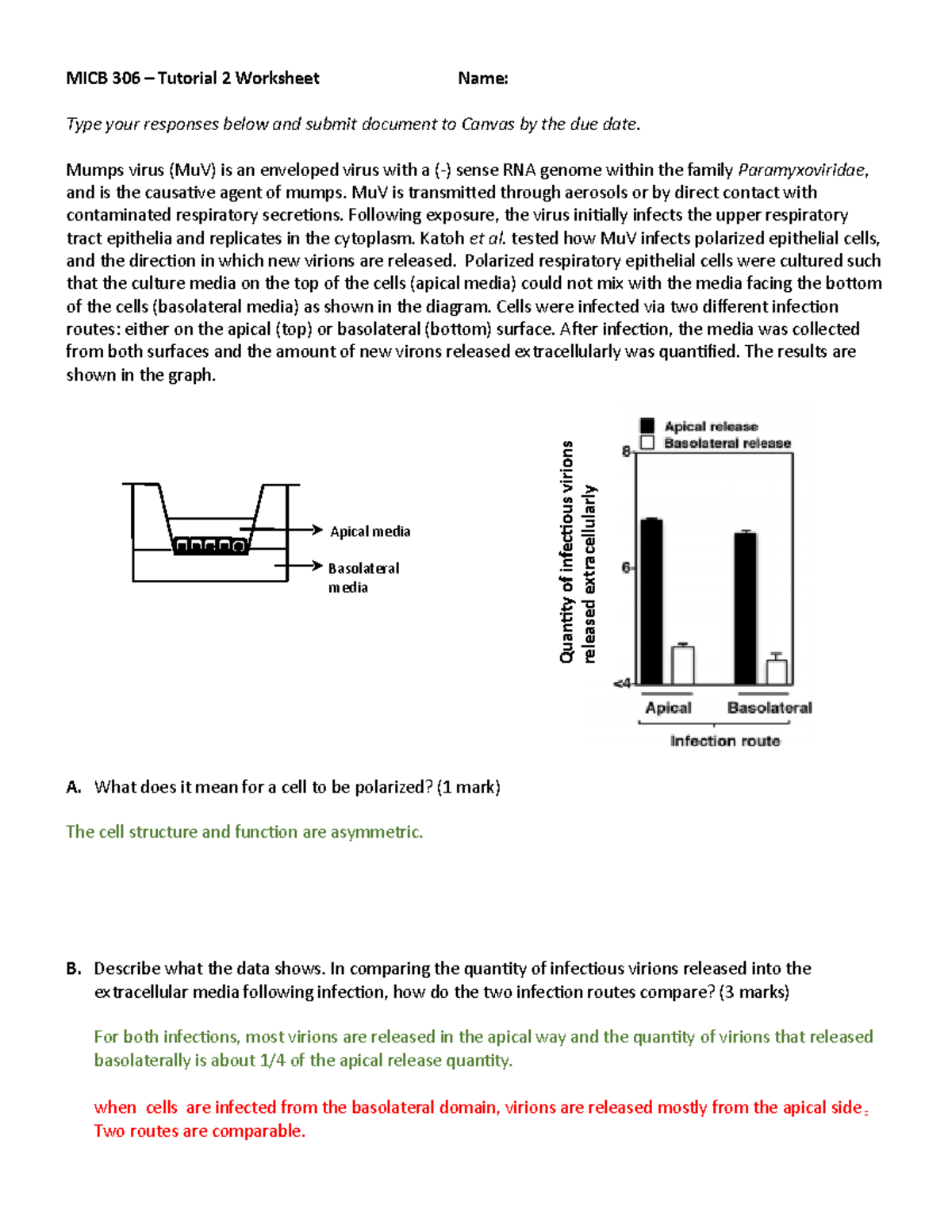 Tutorial 2 worksheet 2022 - MICB 306 – Tutorial 2 Worksheet Name: Type ...