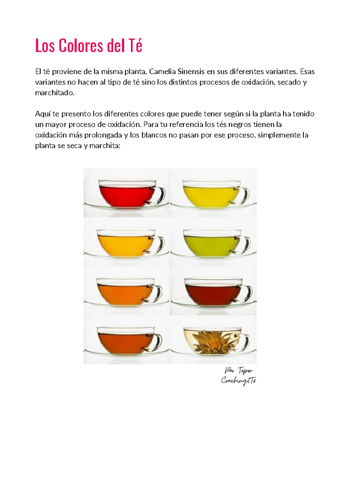 Los Colores del Té - Esas variantes no hacen al tipo de té sino los ...