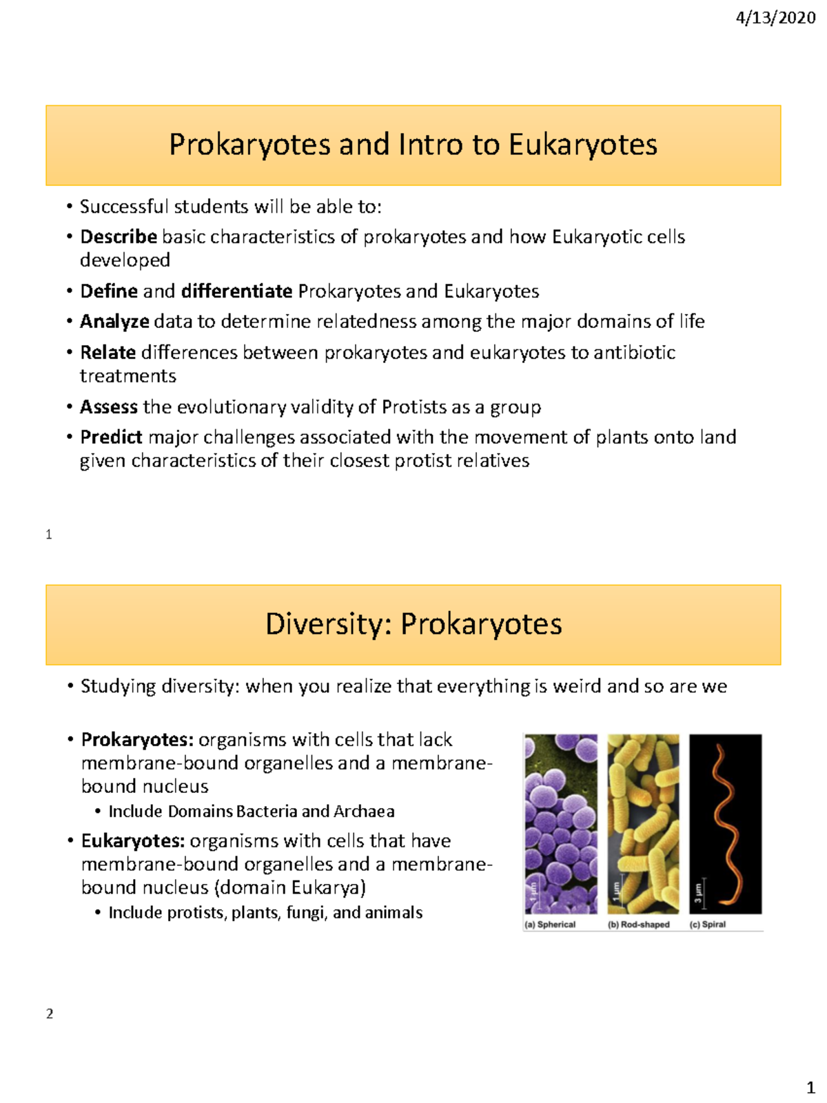 17. Prokaryotes and Intro to Eukaryotes - Prokaryotes and Intro to ...