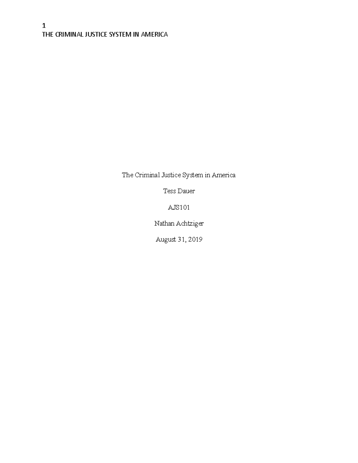 The Criminal Justice System in America - THE CRIMINAL JUSTICE SYSTEM IN ...