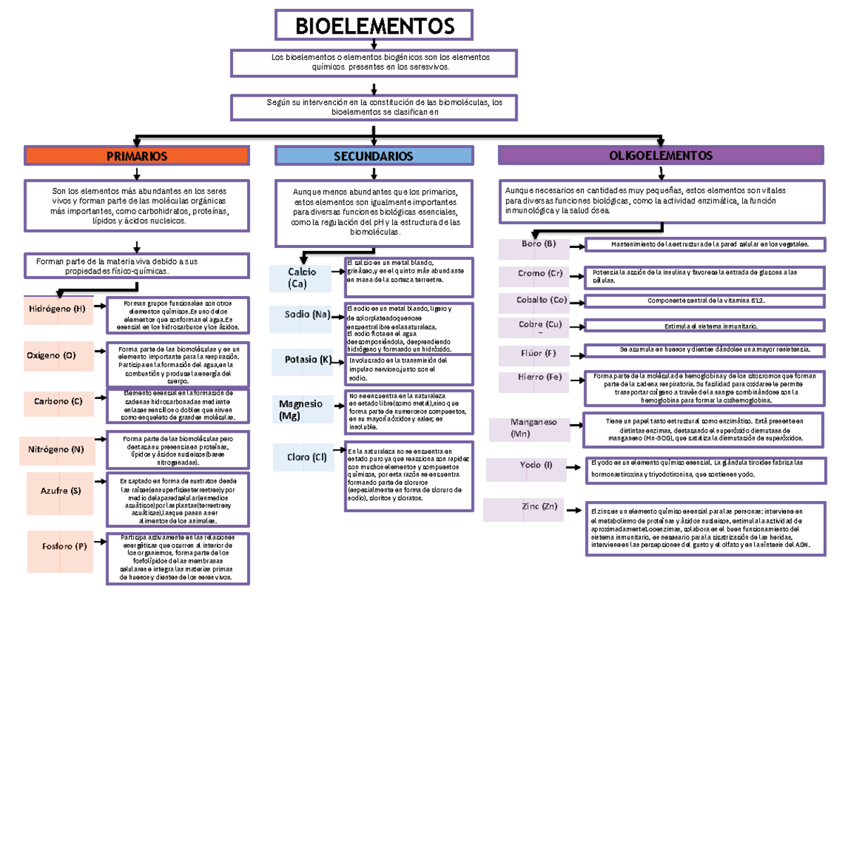 Mapa conceptual de los bioelementos - BIOELEMENTOS Forman parte de la materia viva debido a sus ...