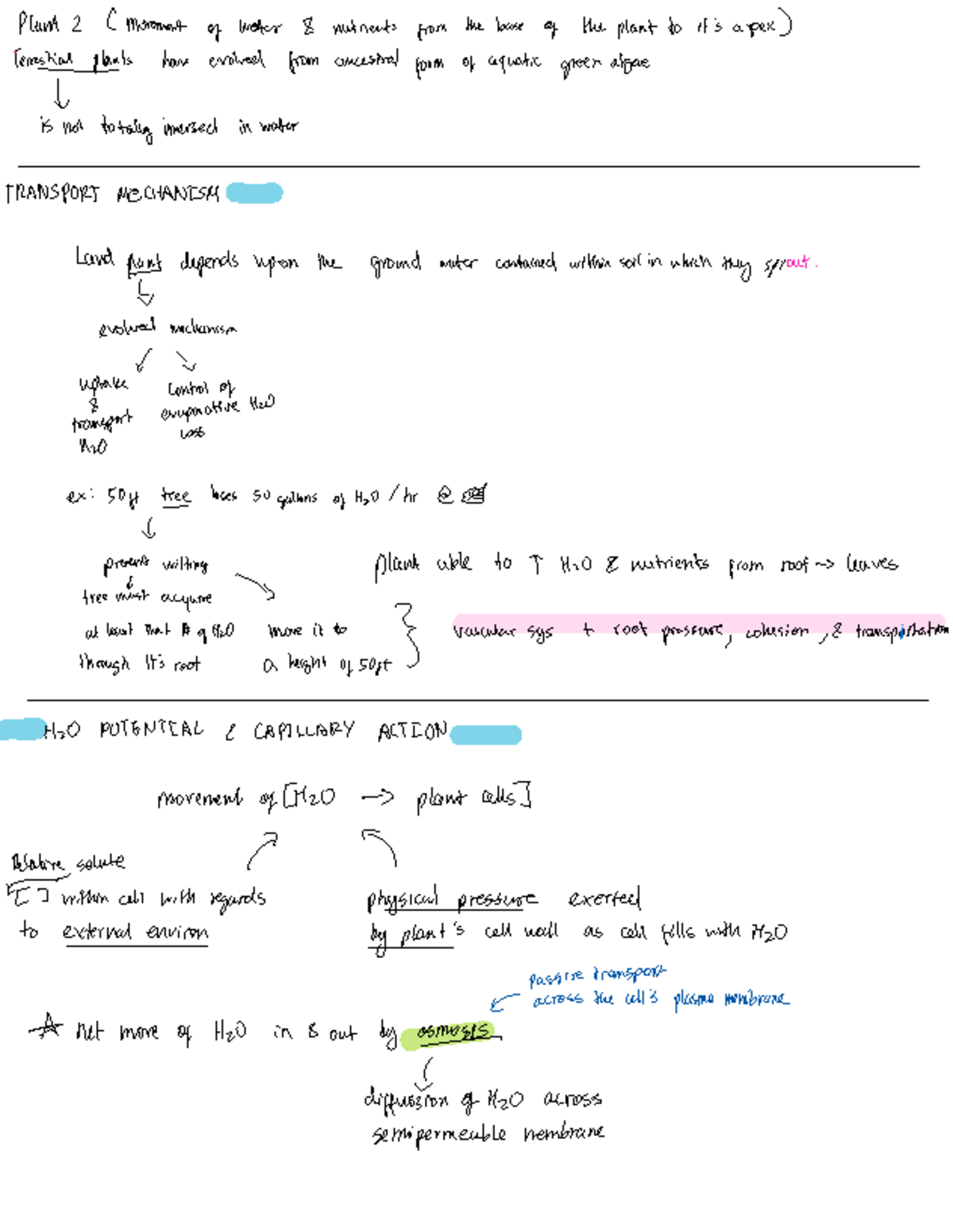 Plants 1 (1) 2 - Lab notes - Plant 2 (Movement of waterI nutrients from ...