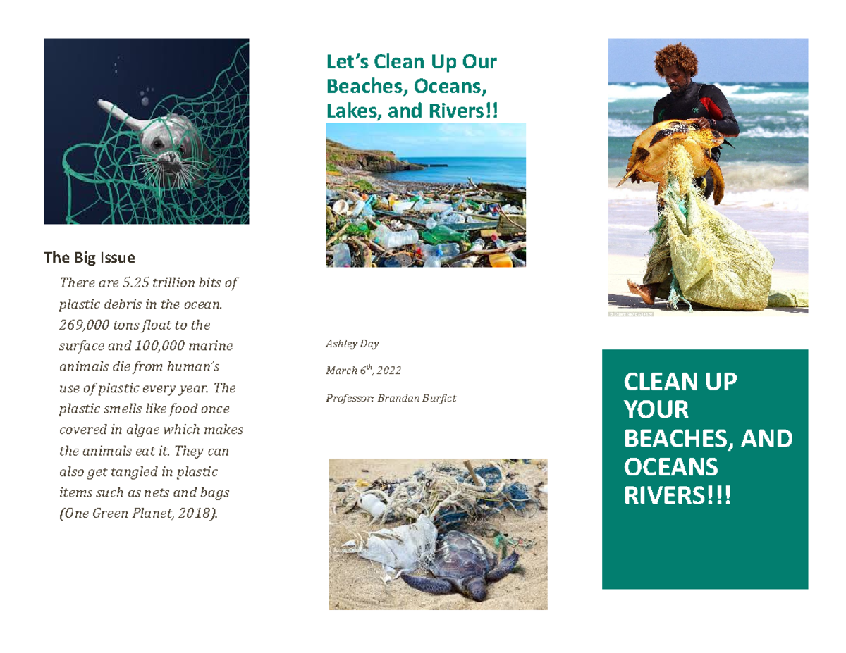 Restoration Pamphlet: Lets Clean up our beaches, oceans and lakes - The ...